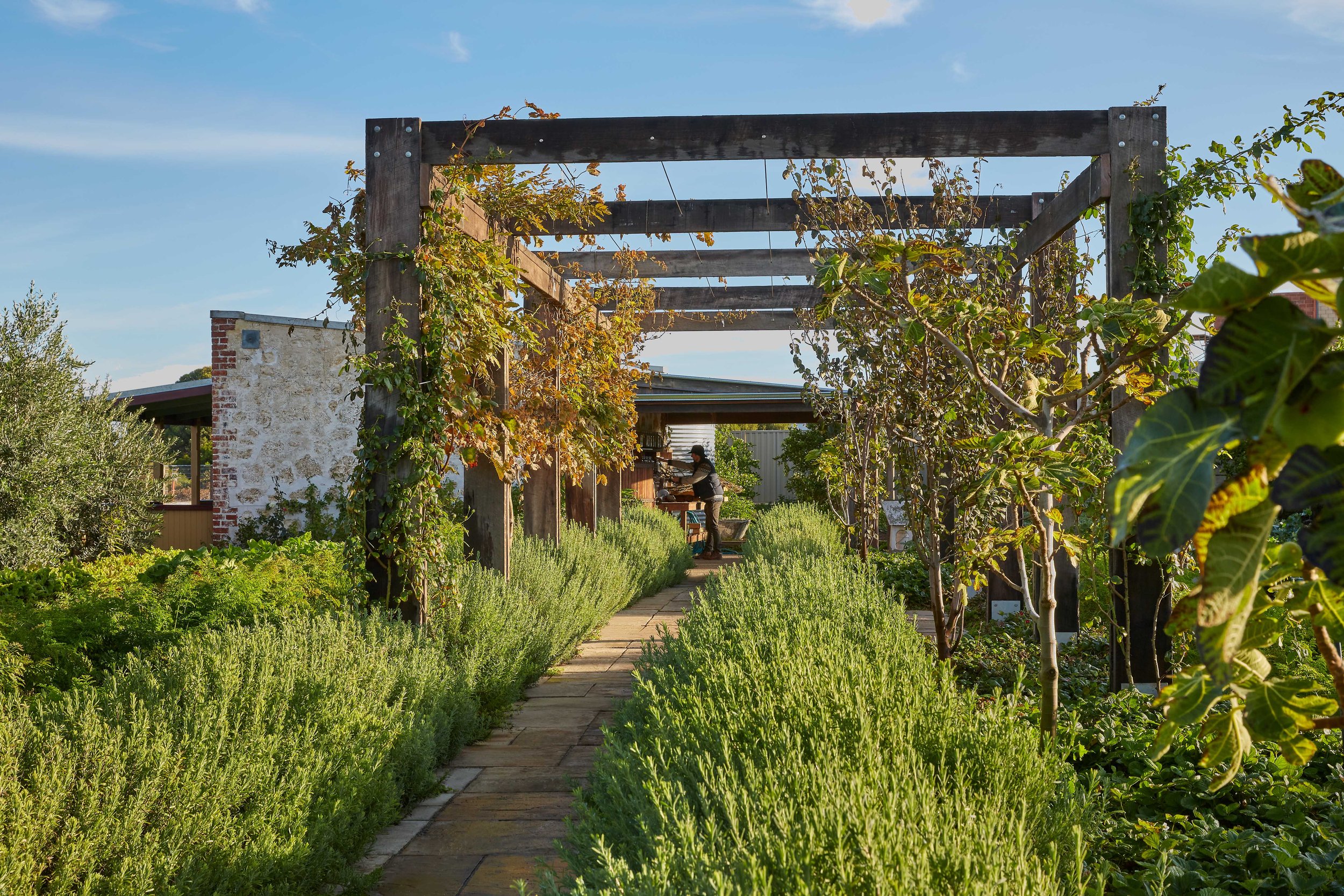 Coogee Common — See Design Studio Landscape Architects