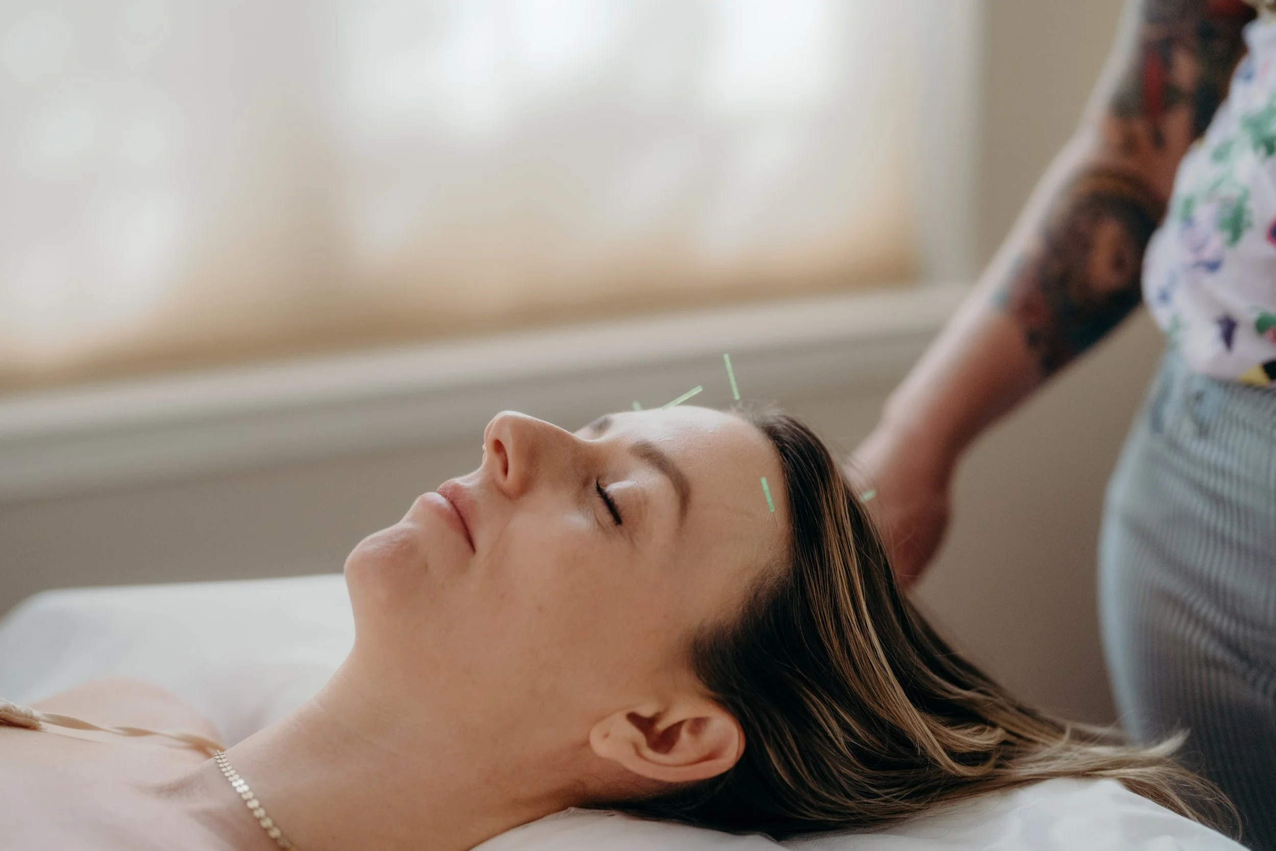 Acupuncture and Functional Medicine — root & stem