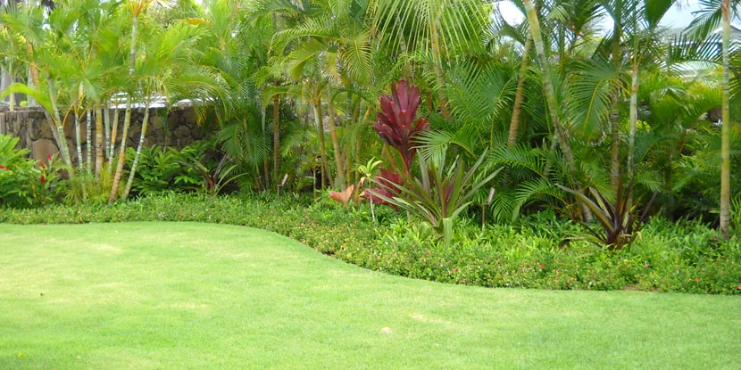 Green Scene Lawn & Land | Landscaping, Yard care and Landscaping ...