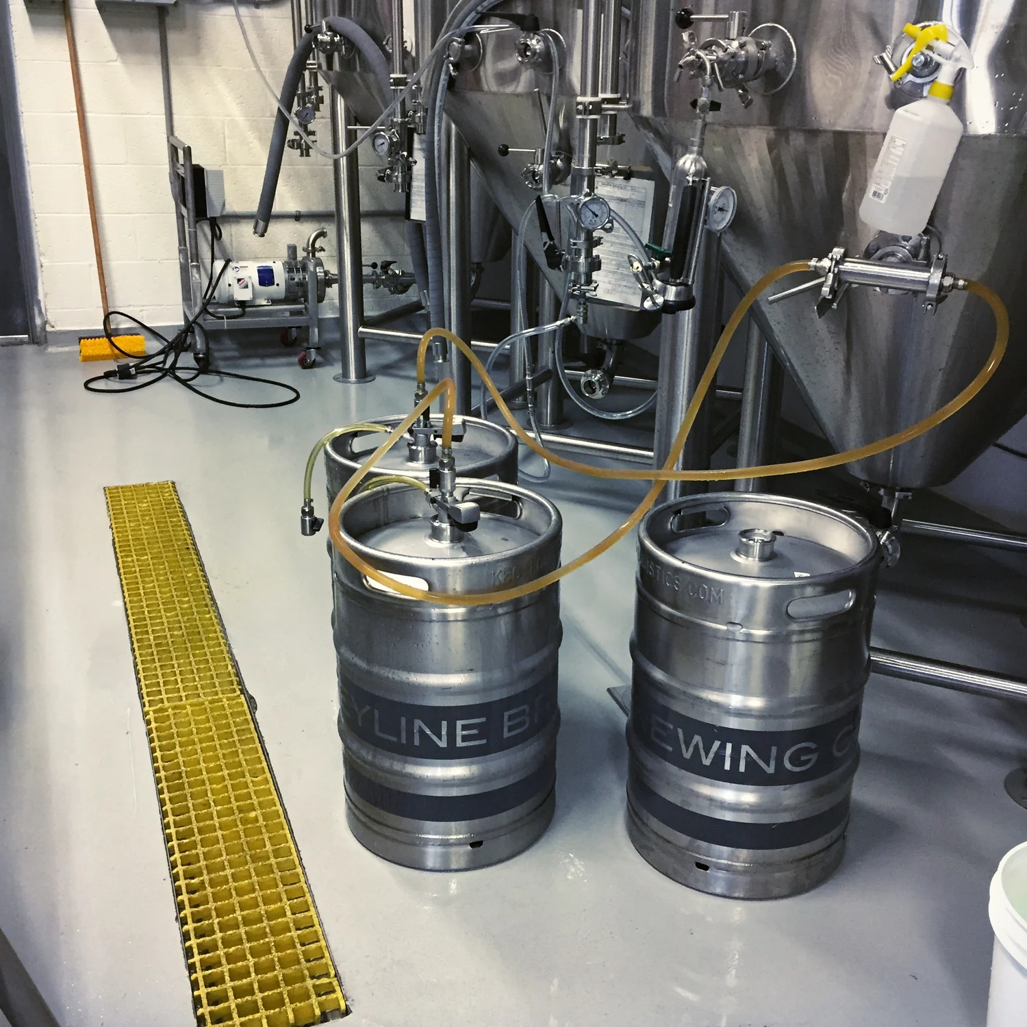 ABOUT US — GREYLINE. fresh ales.