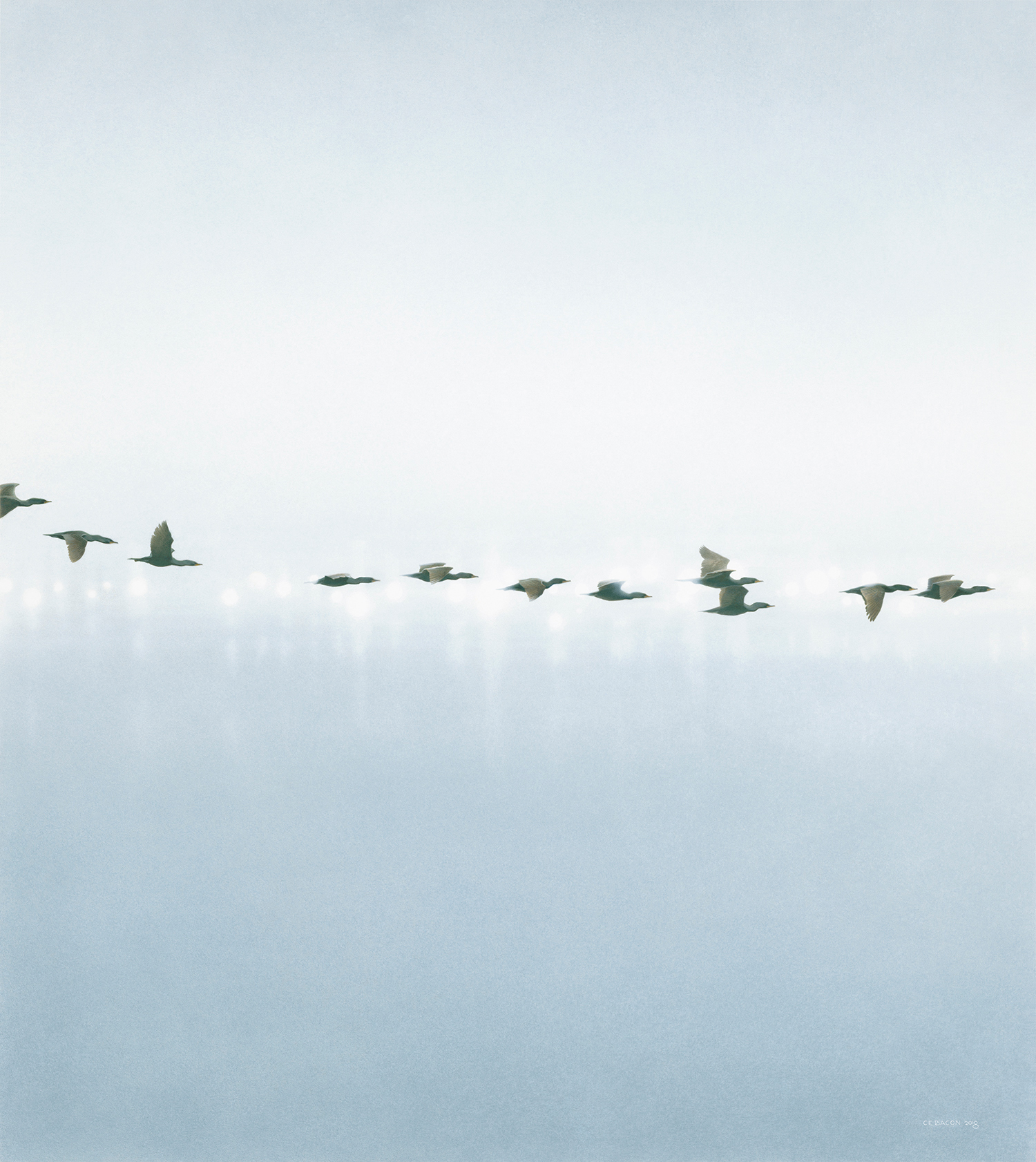 Homepage - Chris Bacon