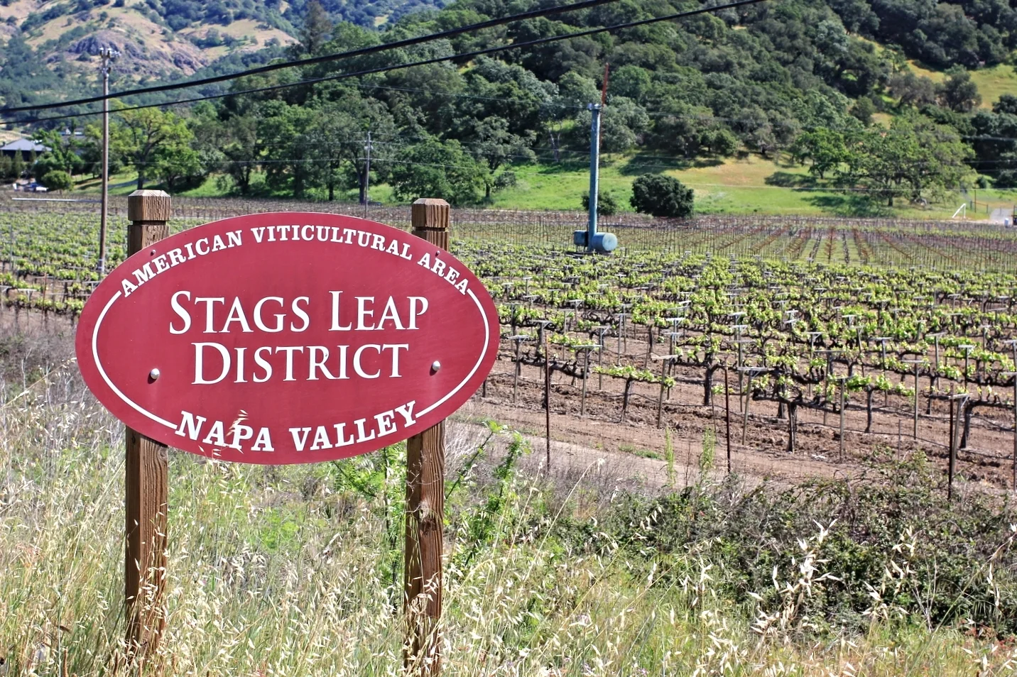 Napa Sign Shop