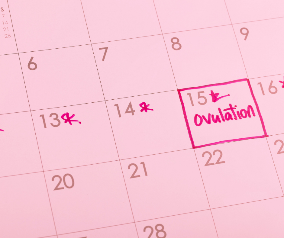 Enduring The 2 Week Wait — Integrative Fertility Institute