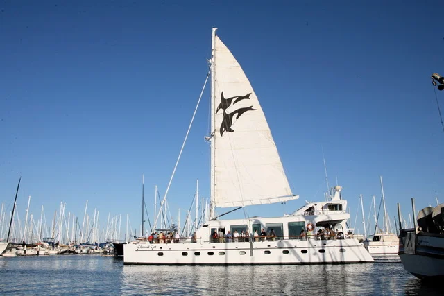 Channel Cat Charters