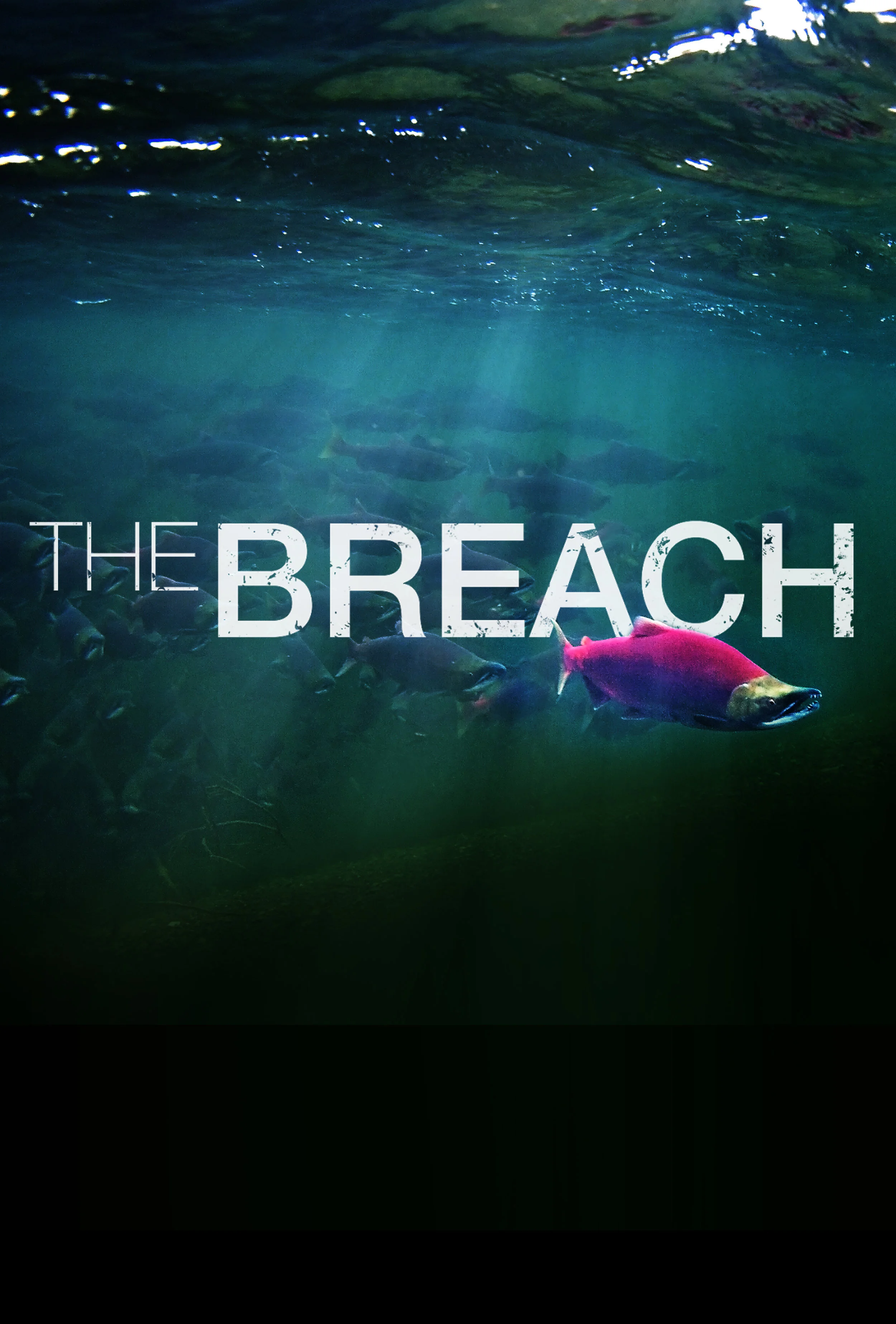 THE BREACH