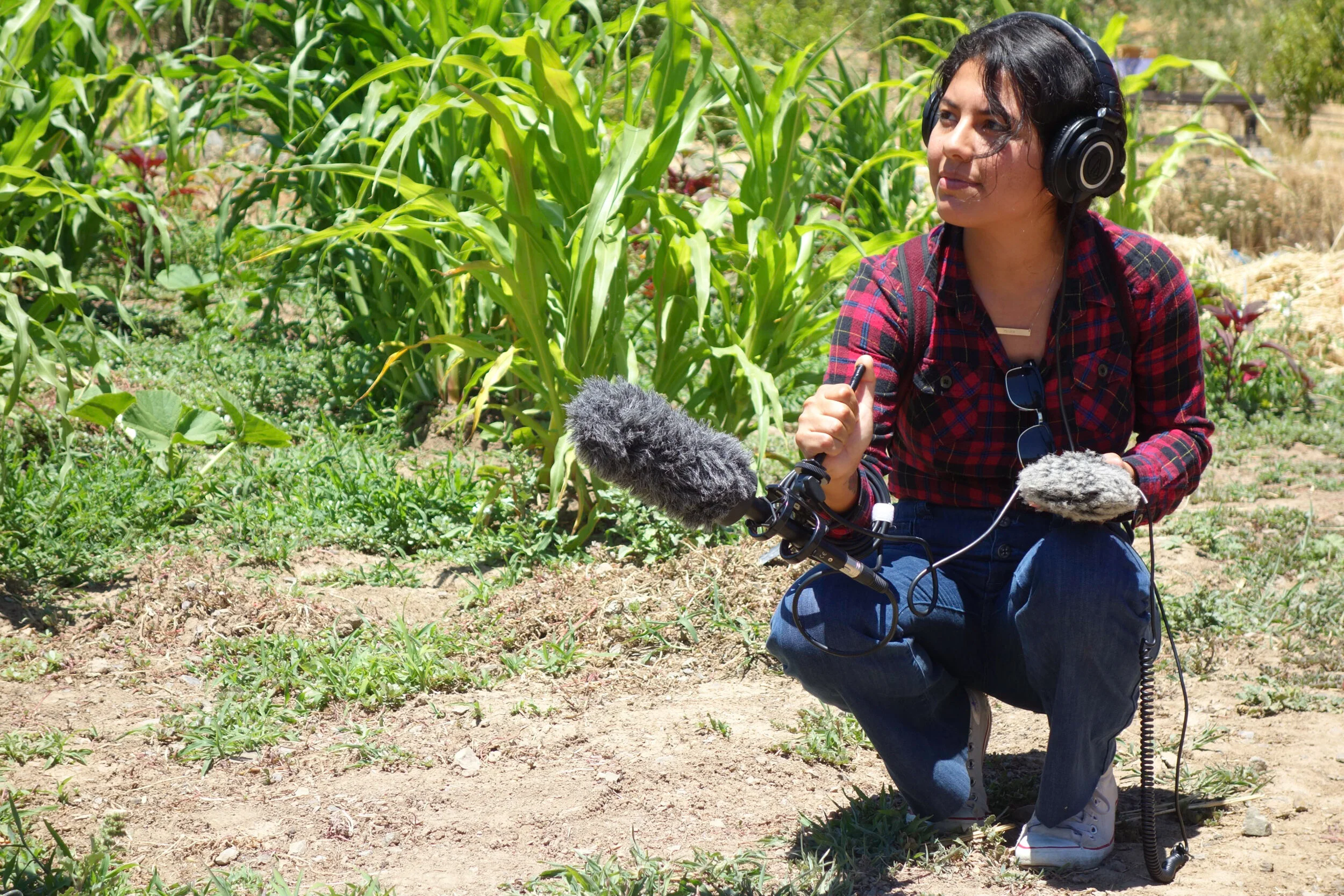 Audio — The Cultural Conservancy