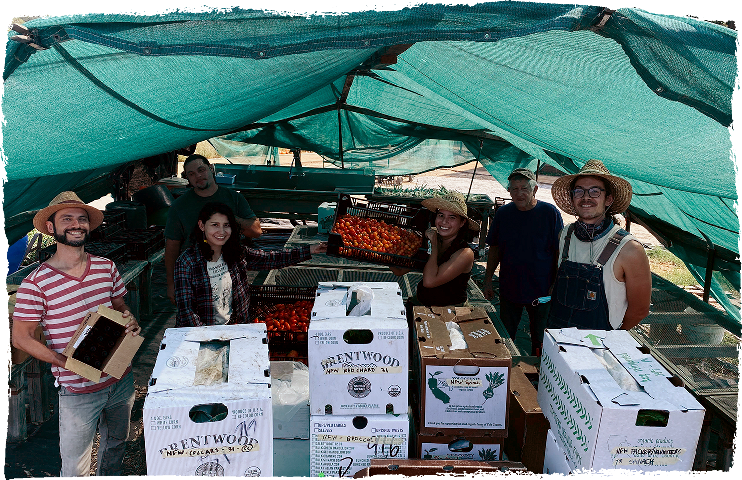Native Foodways — The Cultural Conservancy