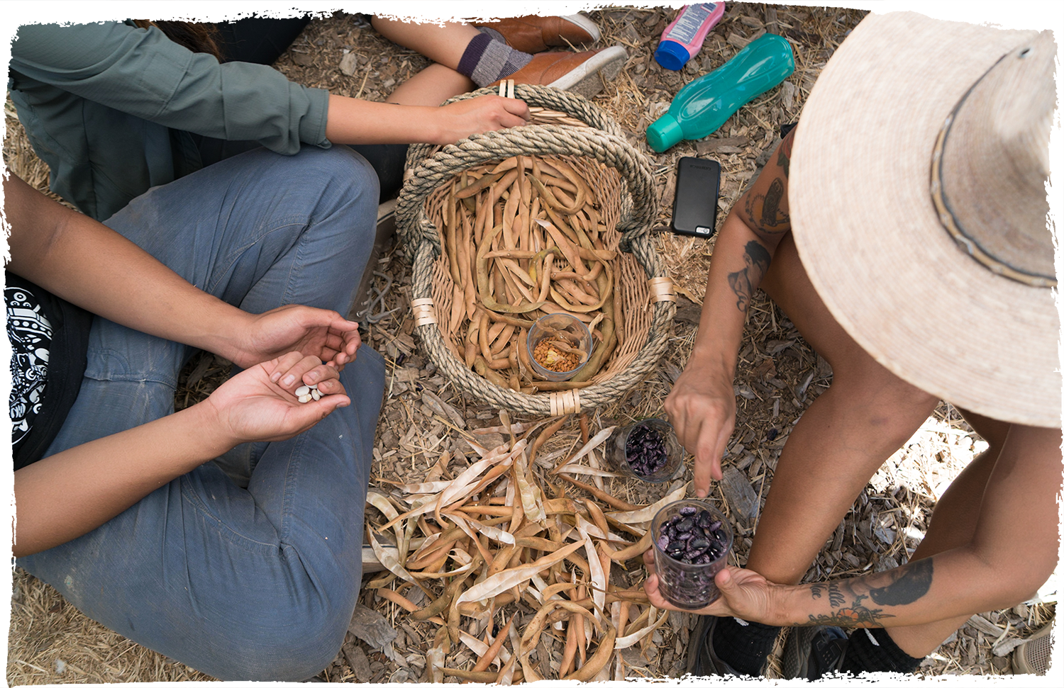 Native Foodways — The Cultural Conservancy