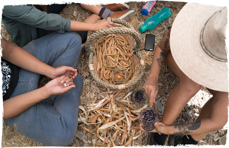Native Foodways — The Cultural Conservancy