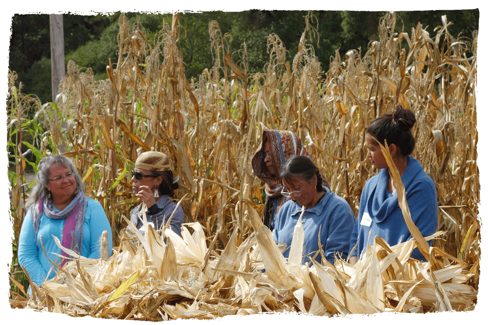 Native Foodways — The Cultural Conservancy