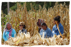 Native Foodways — The Cultural Conservancy