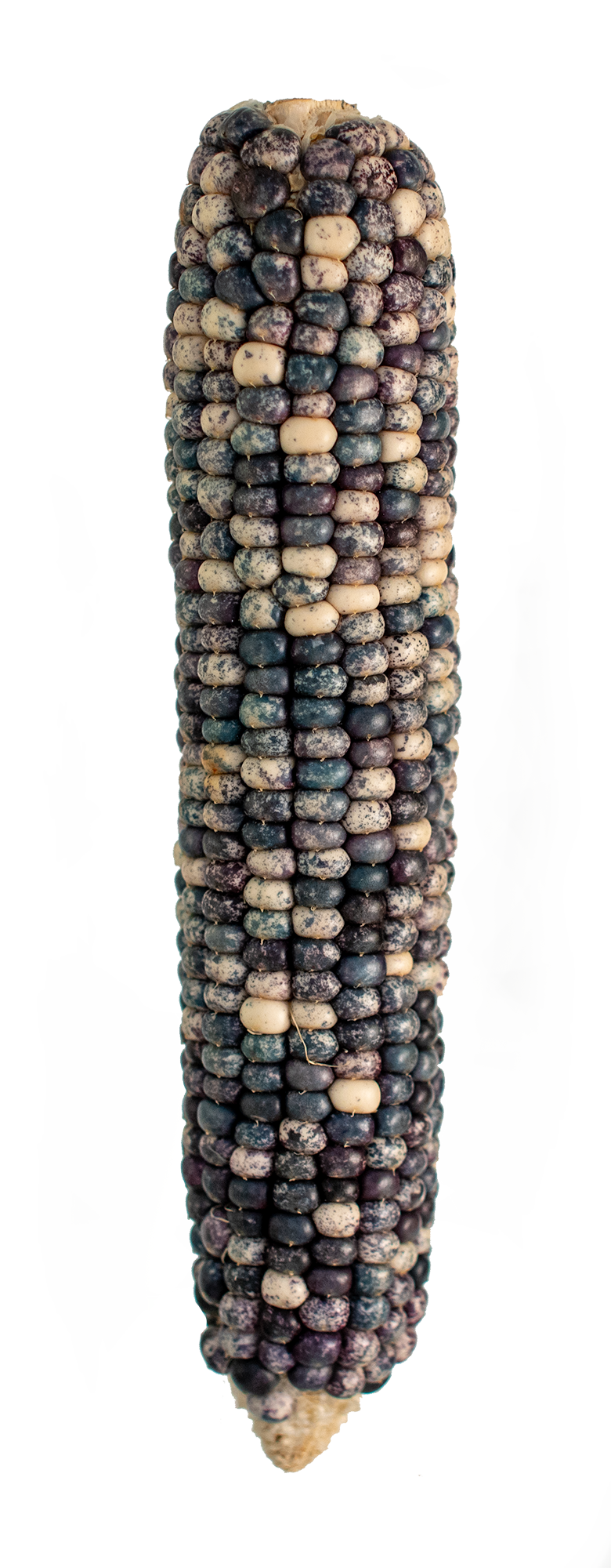 Native Foodways — The Cultural Conservancy