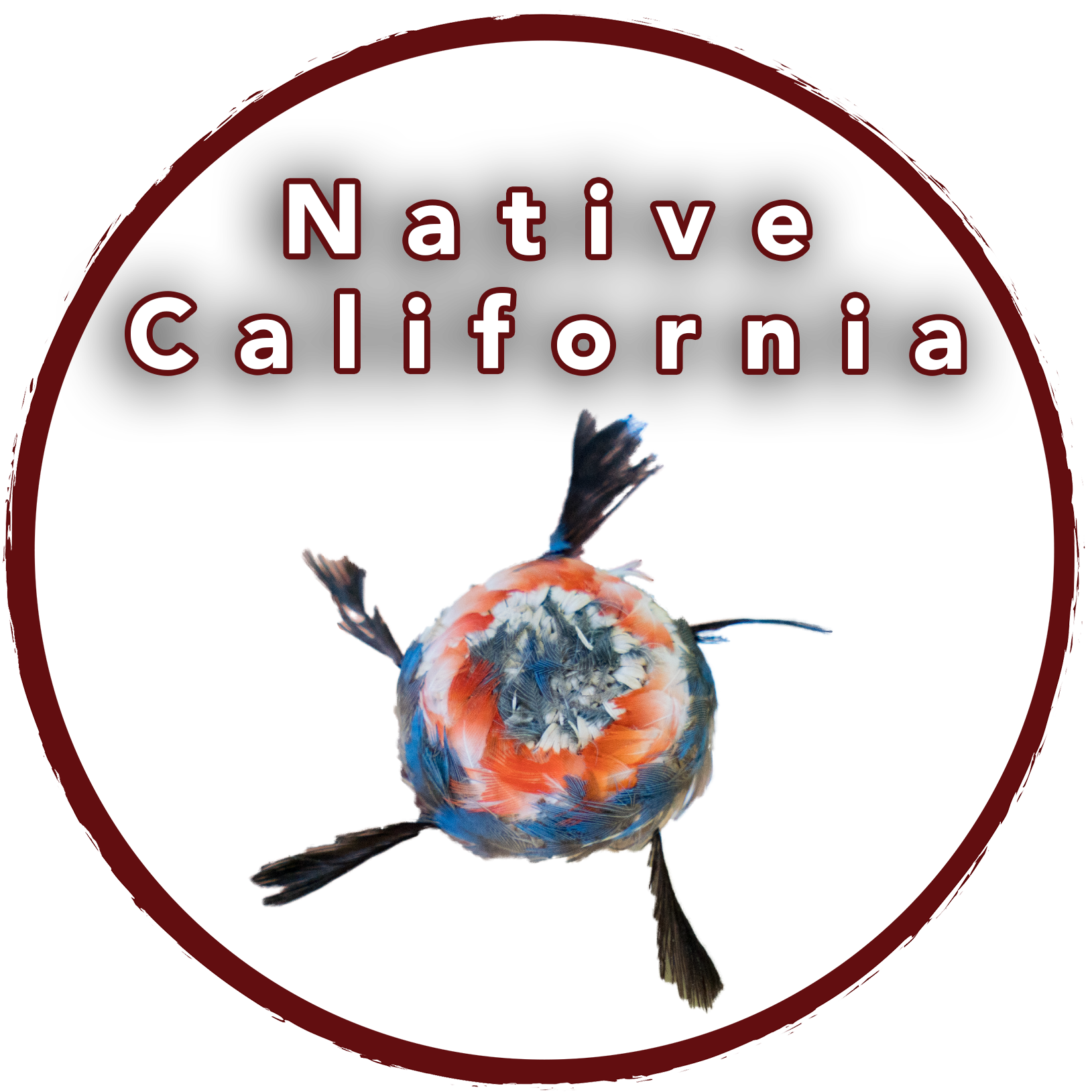 Library — The Cultural Conservancy