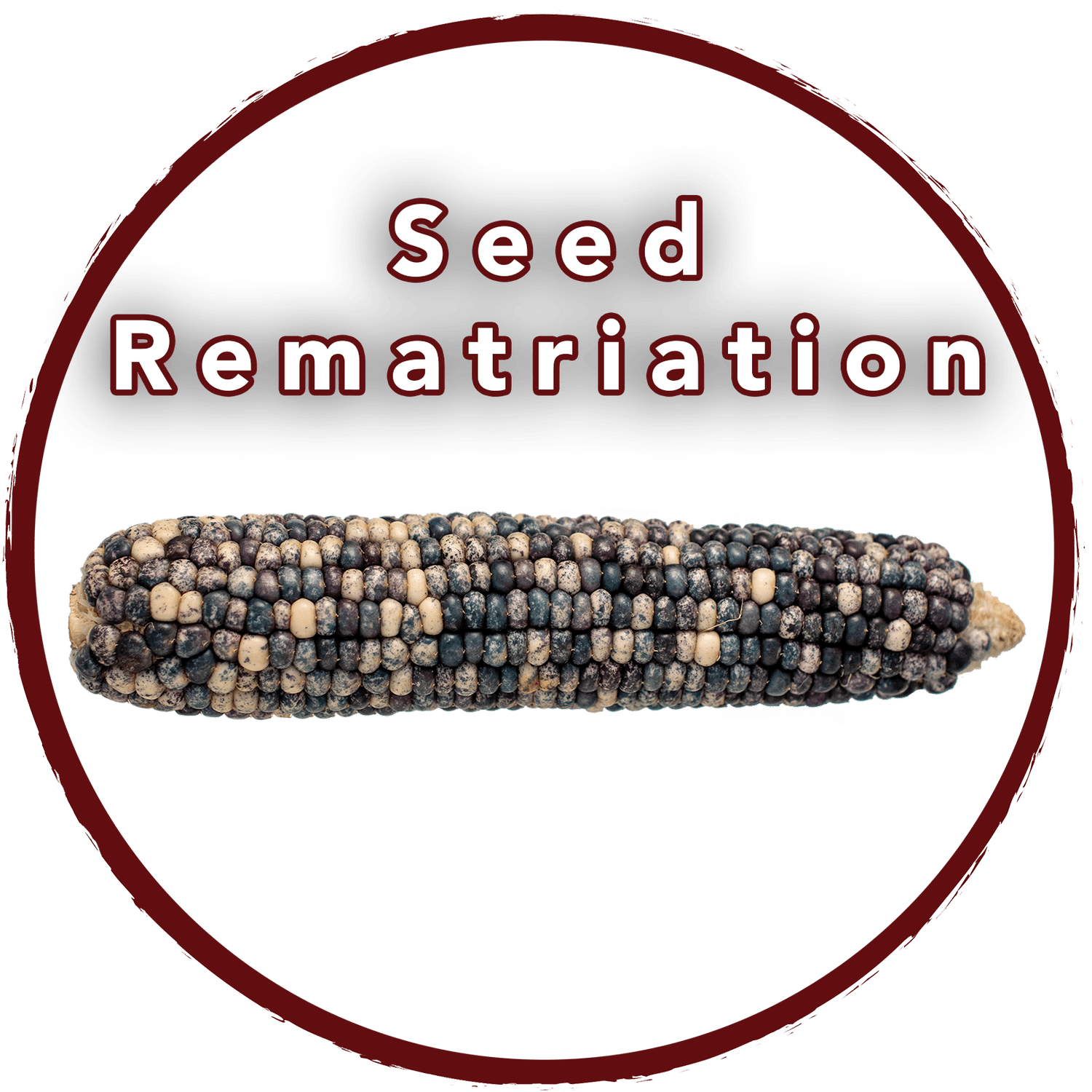 Native Foodways Teachings — The Cultural Conservancy
