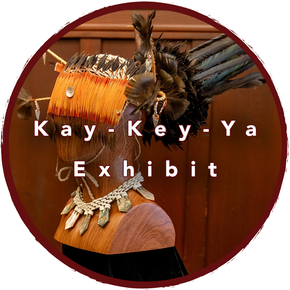 Coyote Room — The Cultural Conservancy