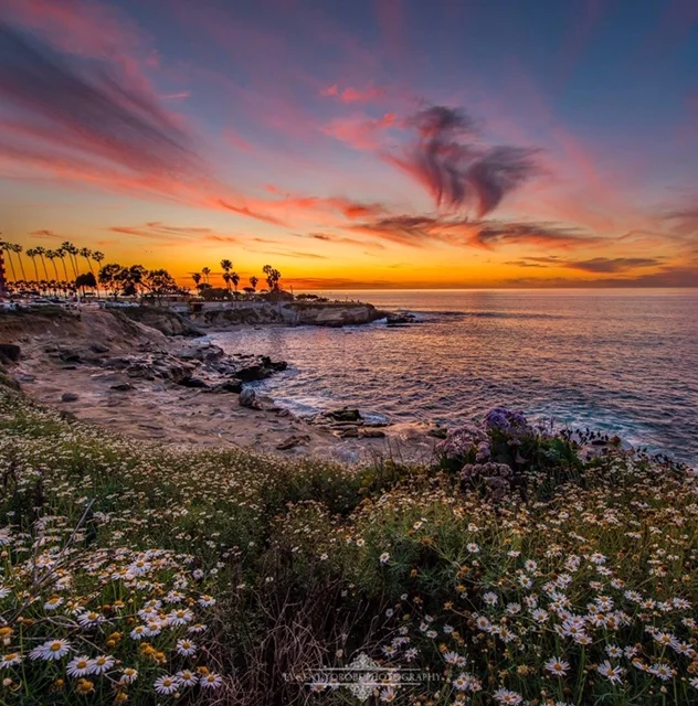 Calendar of Events — Encinitas Mindfulness Community