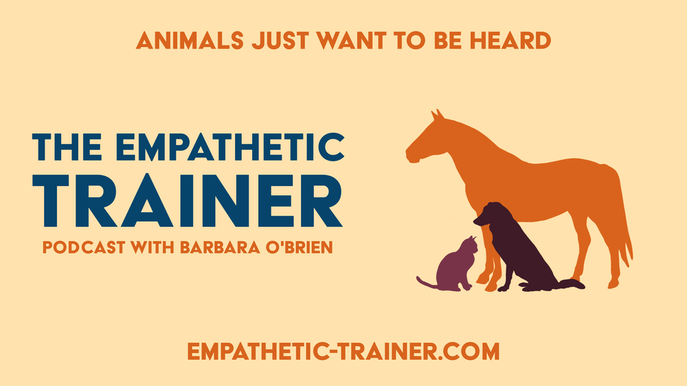 The Animal ConnectionAnimal Actors that Really Work