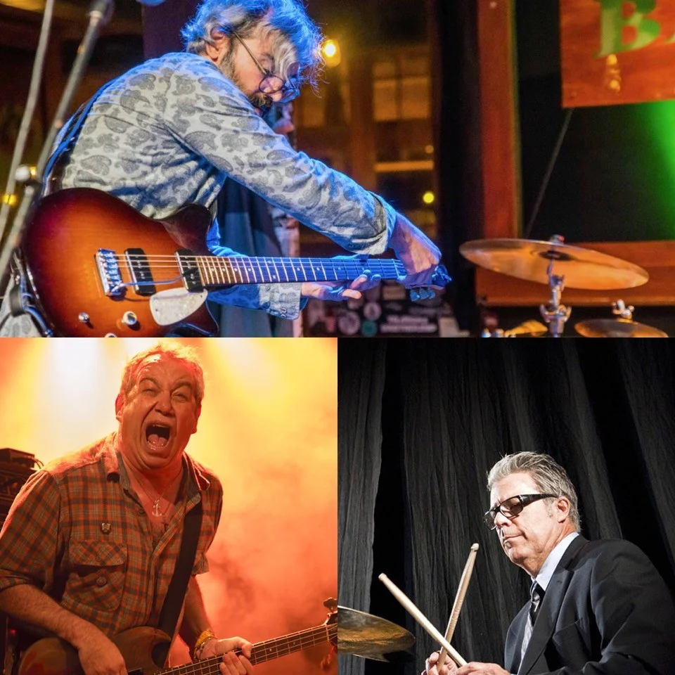 Mike Baggetta + Mike Watt + Stephen Hodges, Wall of Flowers Album ...
