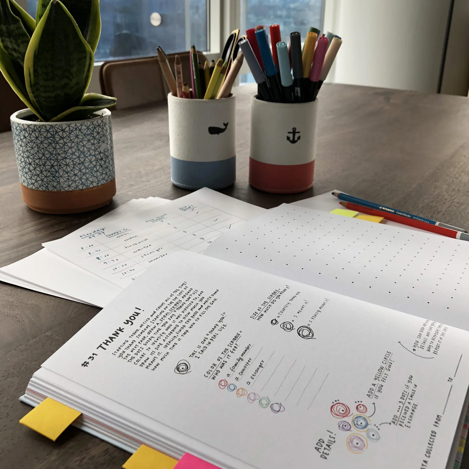 OBSERVE, COLLECT, DRAW! — giorgialupi