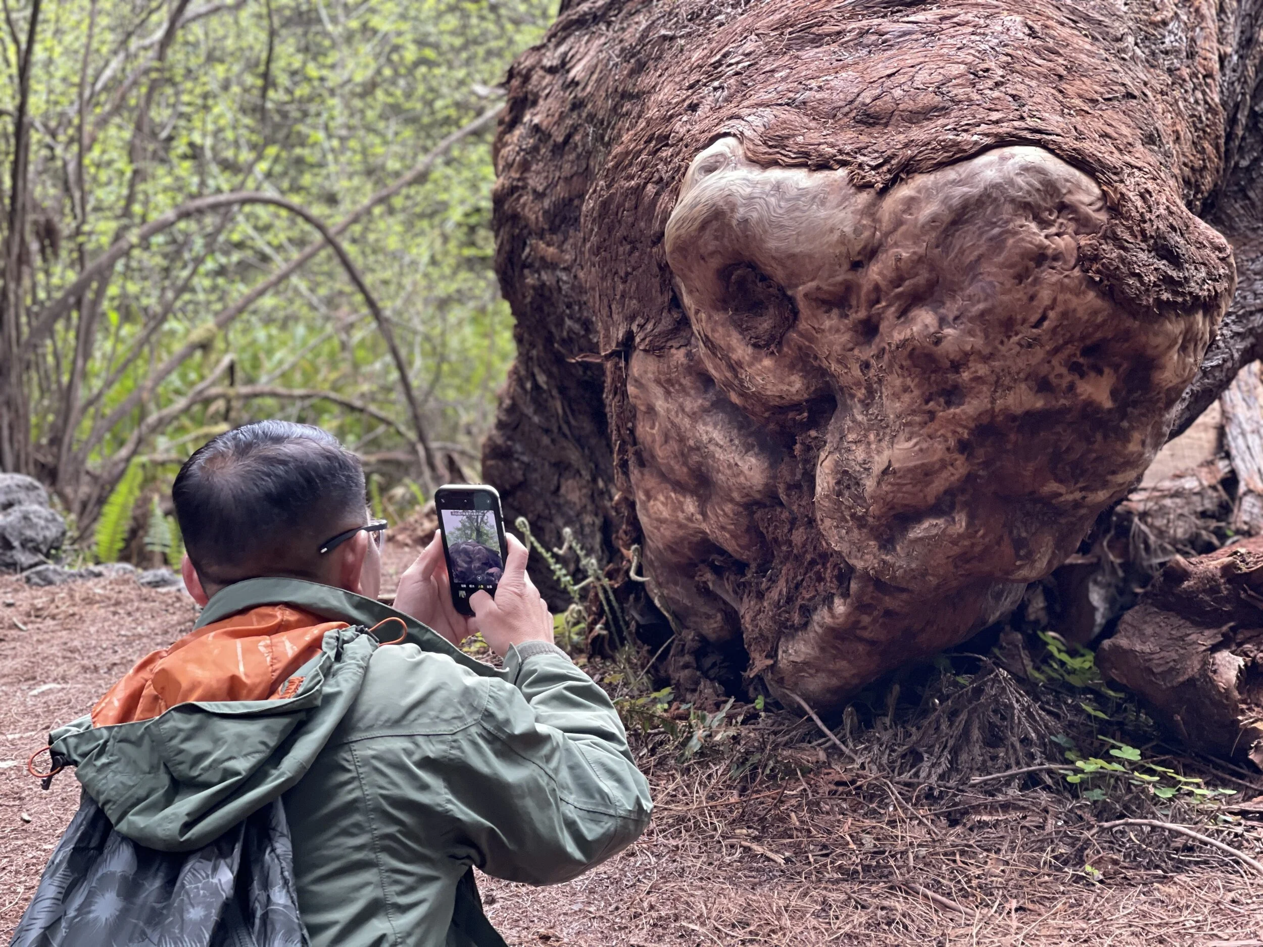 Explore the world's tallest "creature" and most beautiful volcanic lake ...