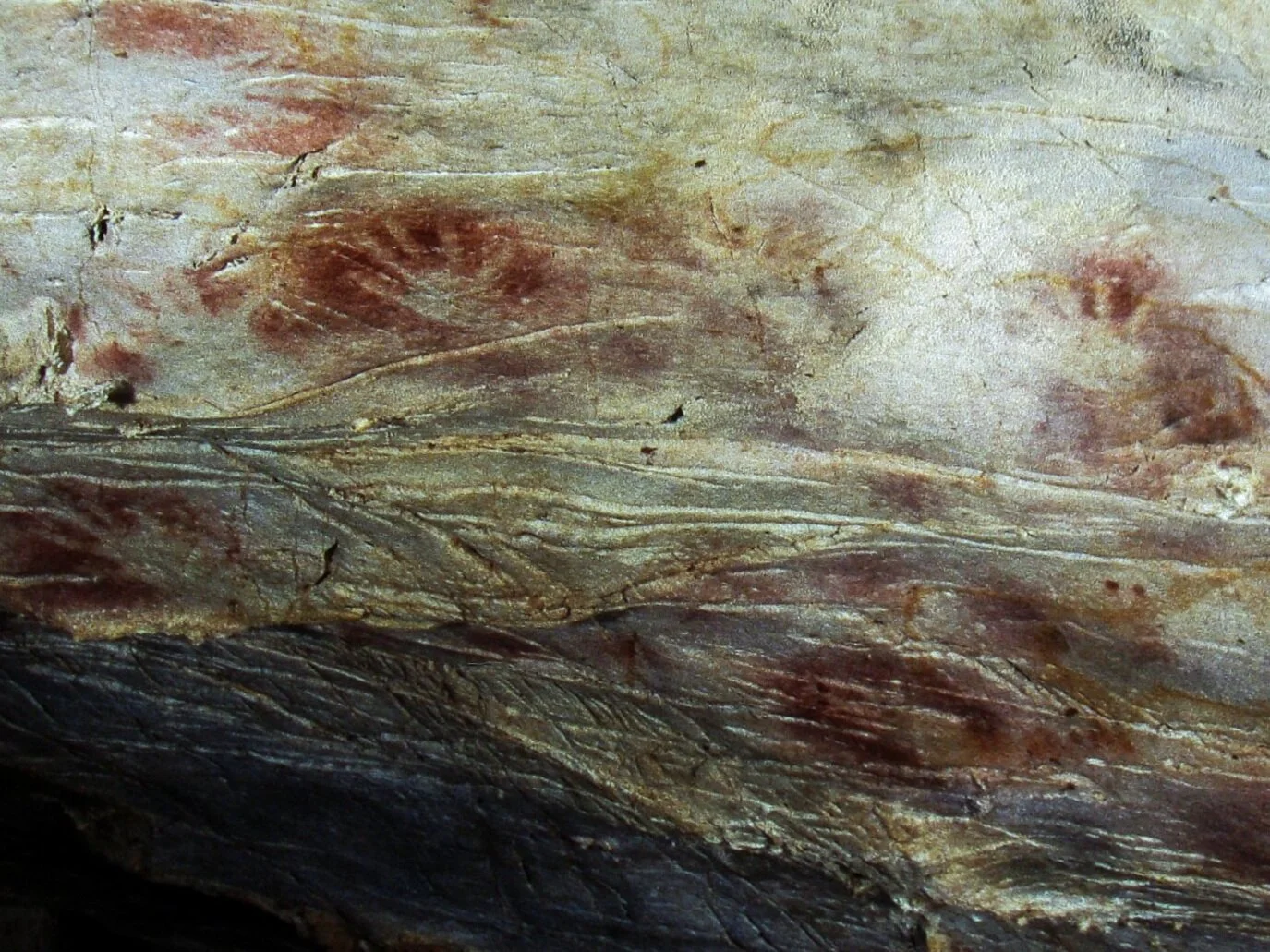 Cave Art & Human Evolution — Northern Spain Tour