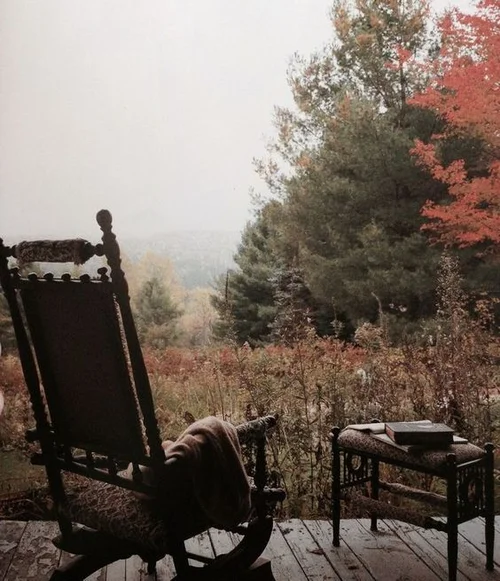 The Details of Daily Life — Sarah Greenman