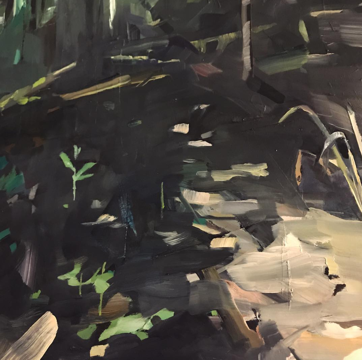 Featured Artist: Danna Ray — Sarah Greenman