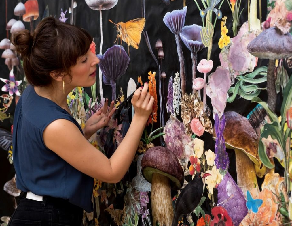 Artist Clare Celeste — Sarah Greenman