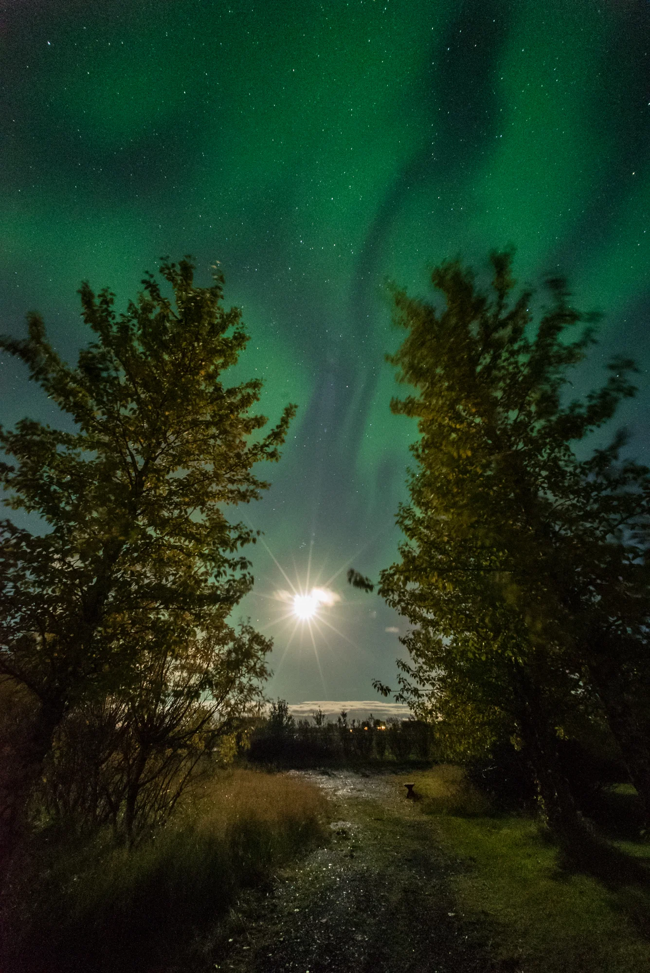 Meteors and Eclipses and Comets, Oh My!—The Celestial Events of 2018 ...