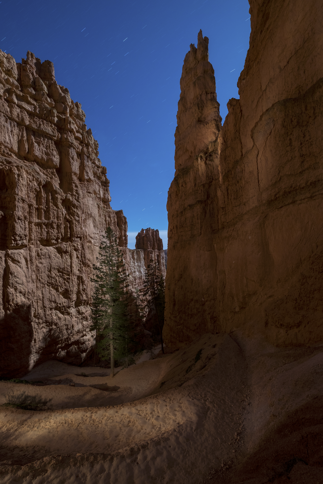 Bryce Canyon 2019 — National Parks at Night