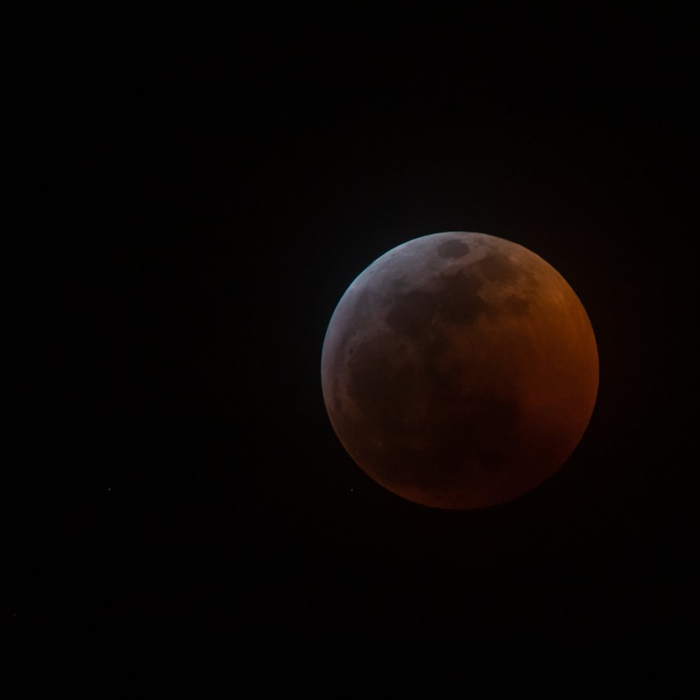 Moon Shots: What We Learned from Photographing the 2019 Lunar Eclipse ...