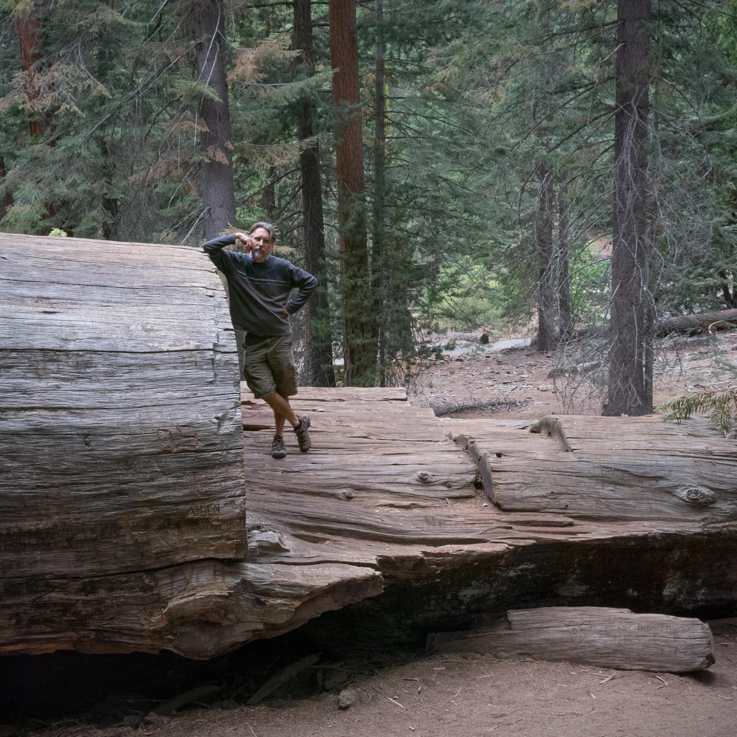 Sequoia National Park Night Photography Workshop 2021 — National Parks ...
