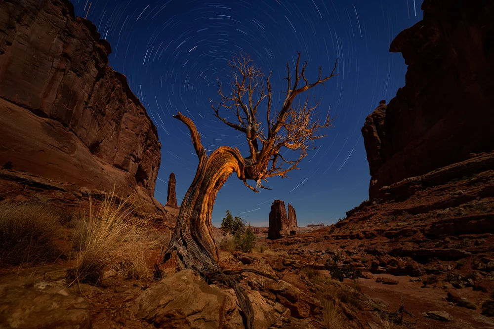Paradise at Night: All 5 Utah National Parks are Now Dark-Sky Certified ...