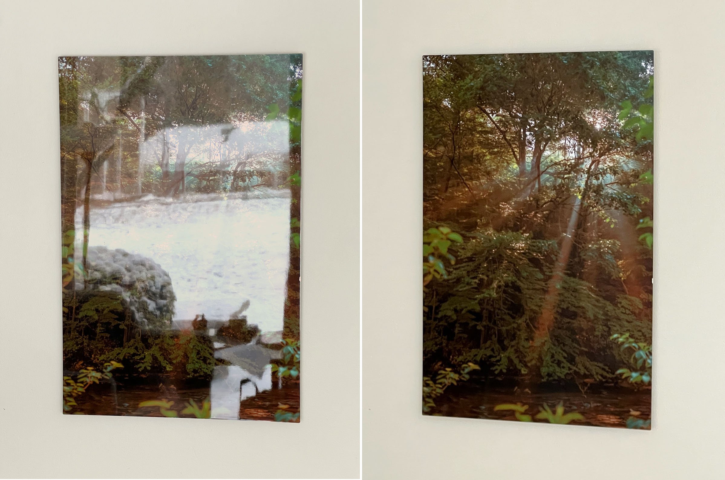 Five Questions: Holiday Lights, Metal Prints, a Southern National Park ...