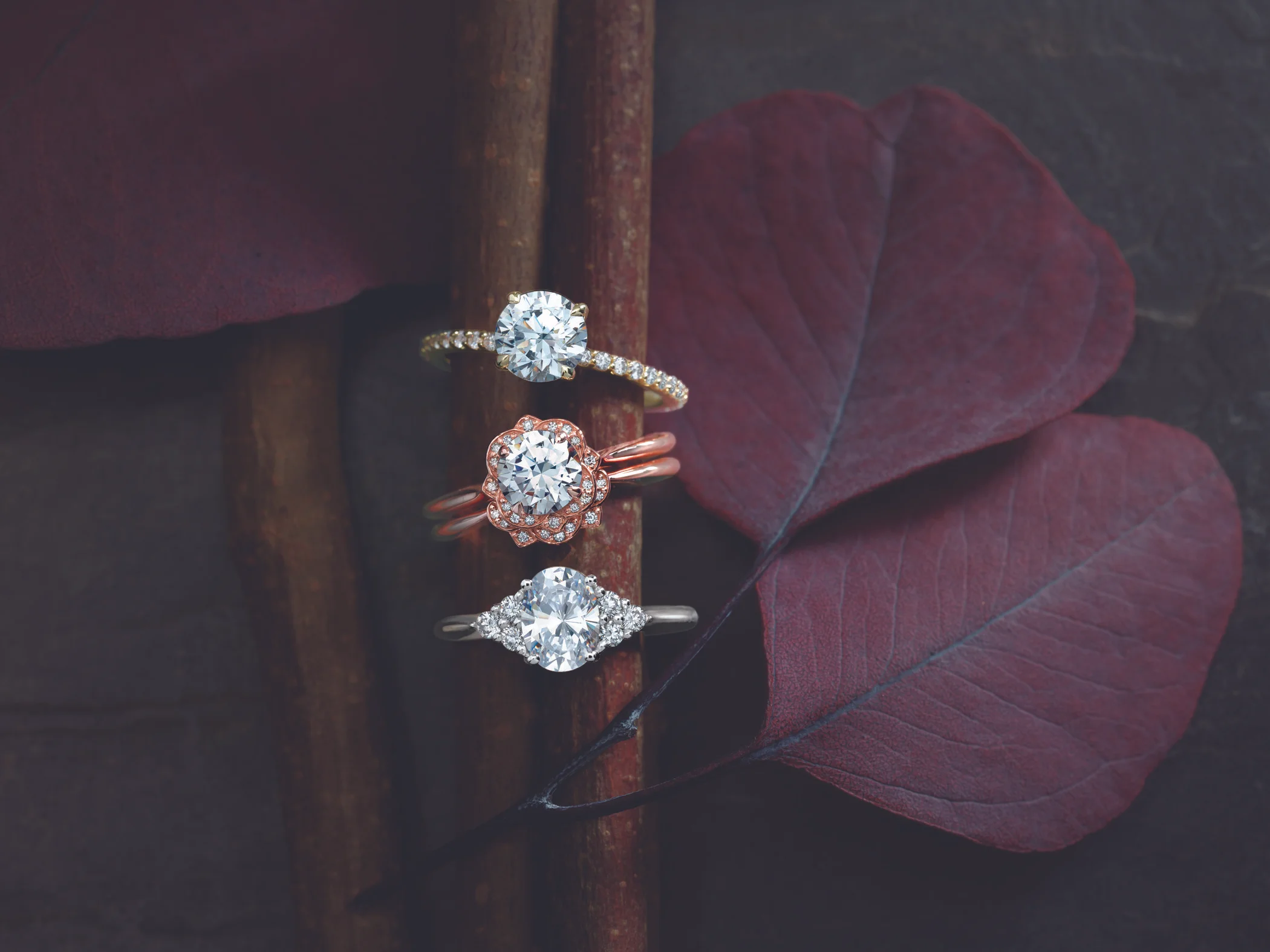 Our Collections — Williams Diamond Center