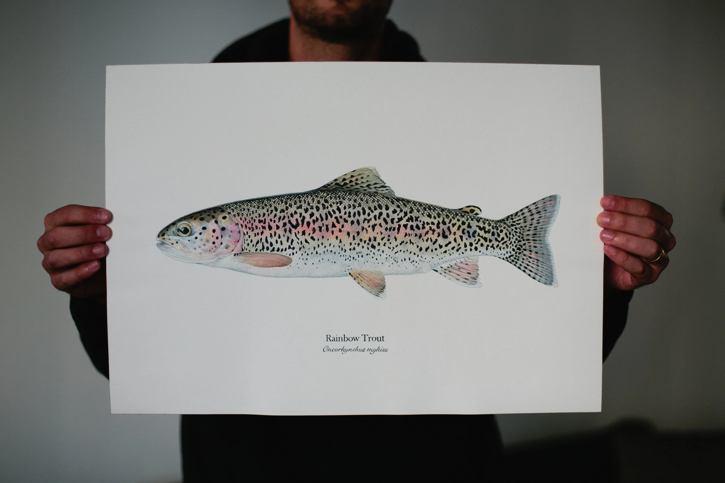 Shop — Tight Loops