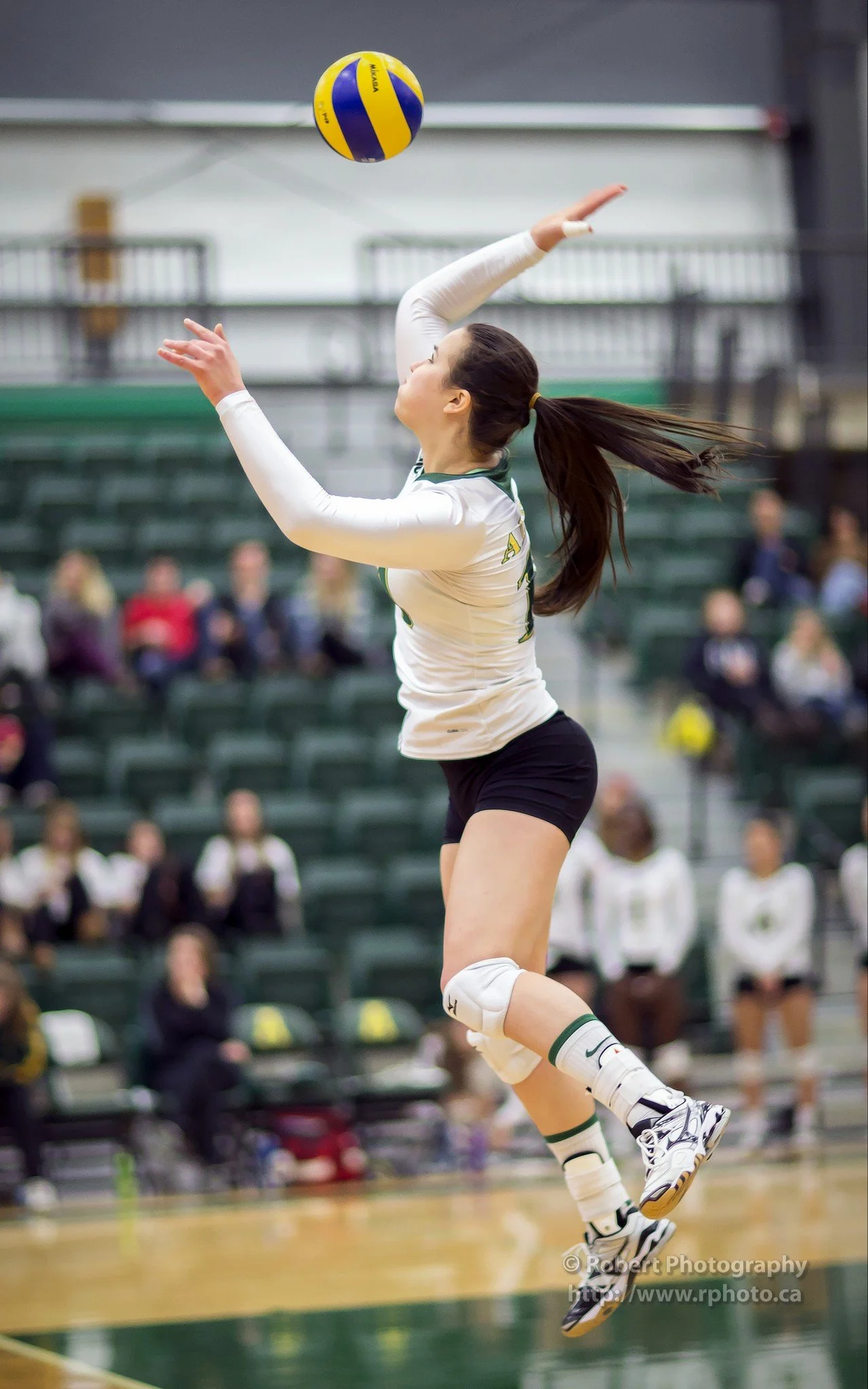 Jess Stroud Performance Dietitian — TAYLOR NUTRITION