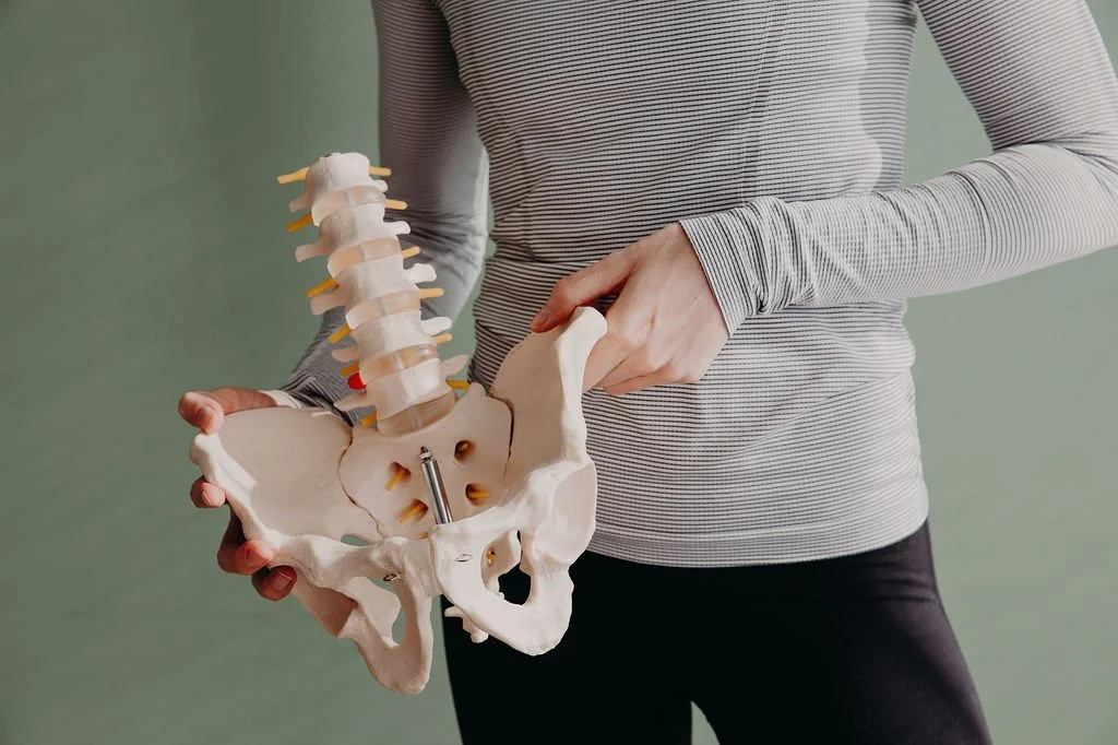 PELVIC HEALTH OSTEOPATHY — Bodyfocus - Launceston Osteopathy