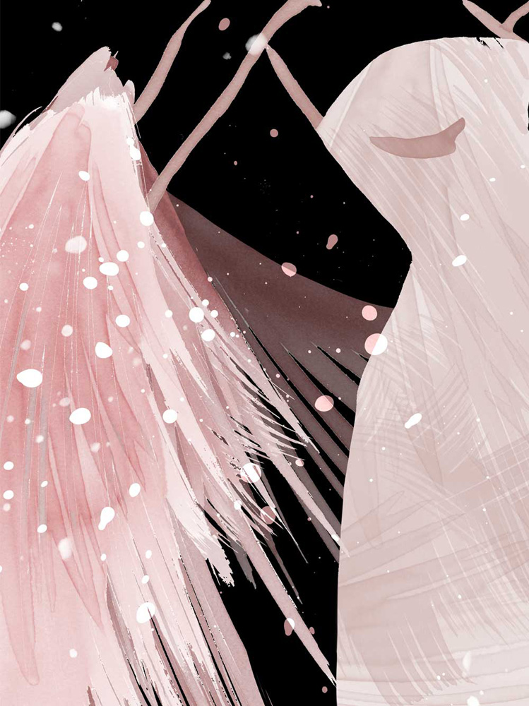 Virginia Romo Illustration