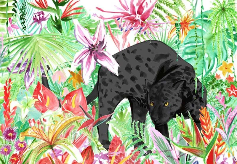 Virginia Romo Illustration