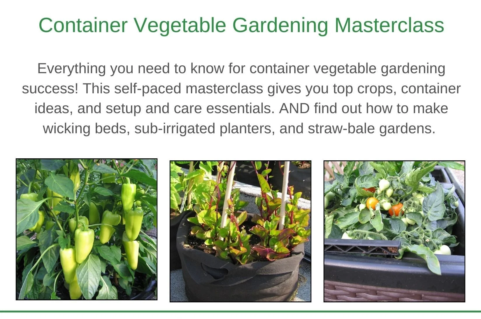 7 Vegetable Garden Layout Ideas To Grow More Food In Less Space — Food ...