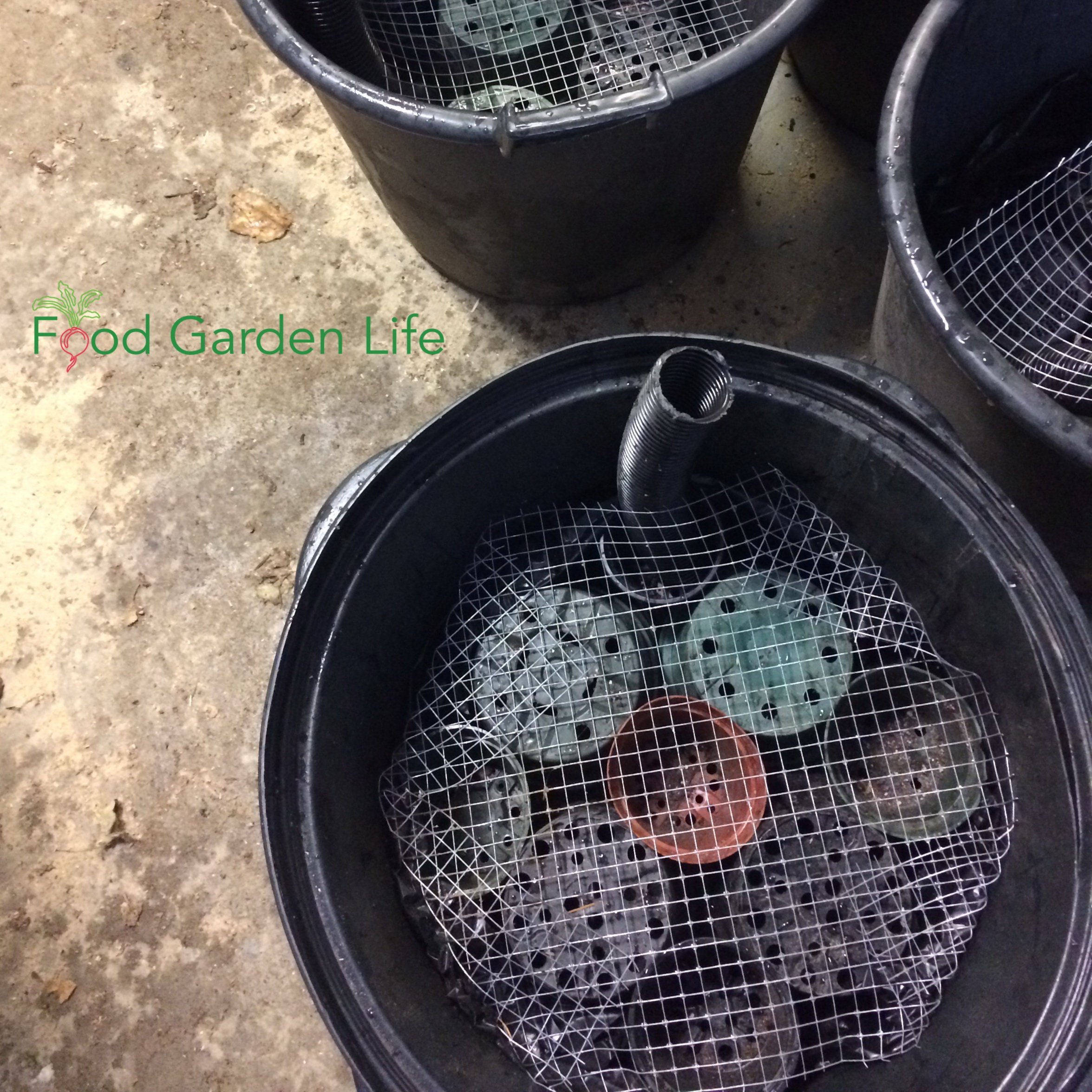 Want to Water Less and Harvest More? Try Sub-Irrigated Planters — Food ...