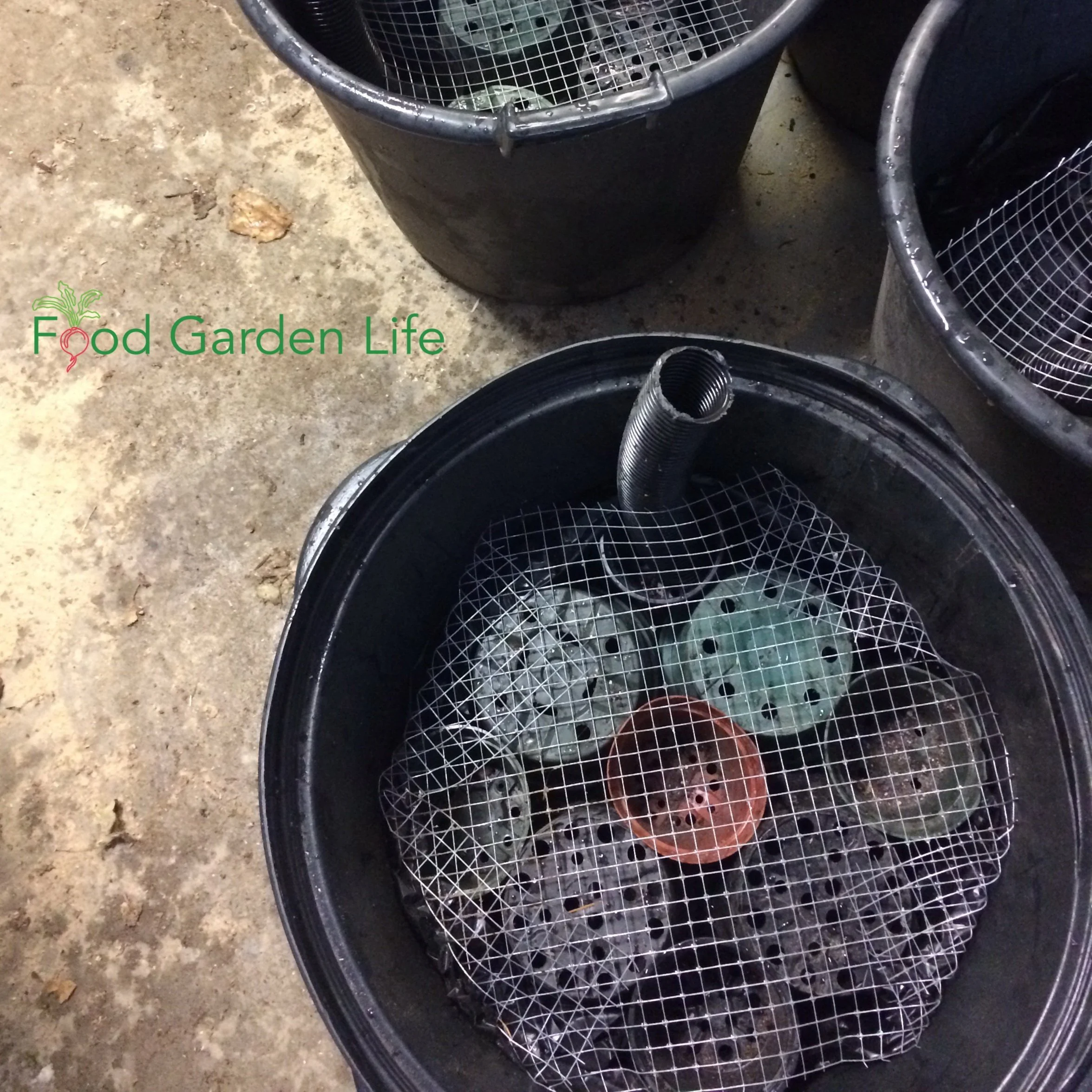 Want to Water Less and Harvest More? Try Sub-Irrigated Planters — Food ...