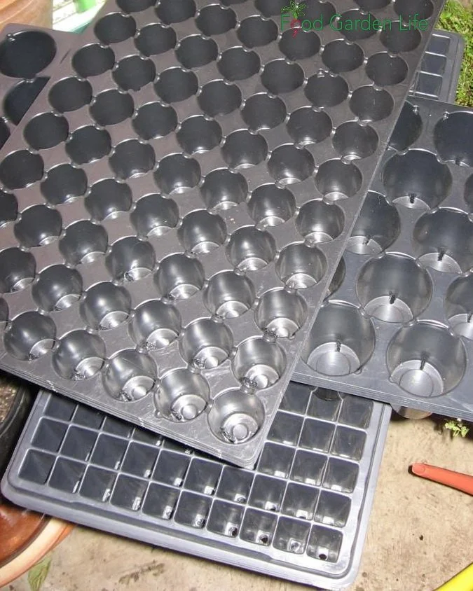 Grow Your Own Tomato Plants from Seed - Everything You Need to Know ...