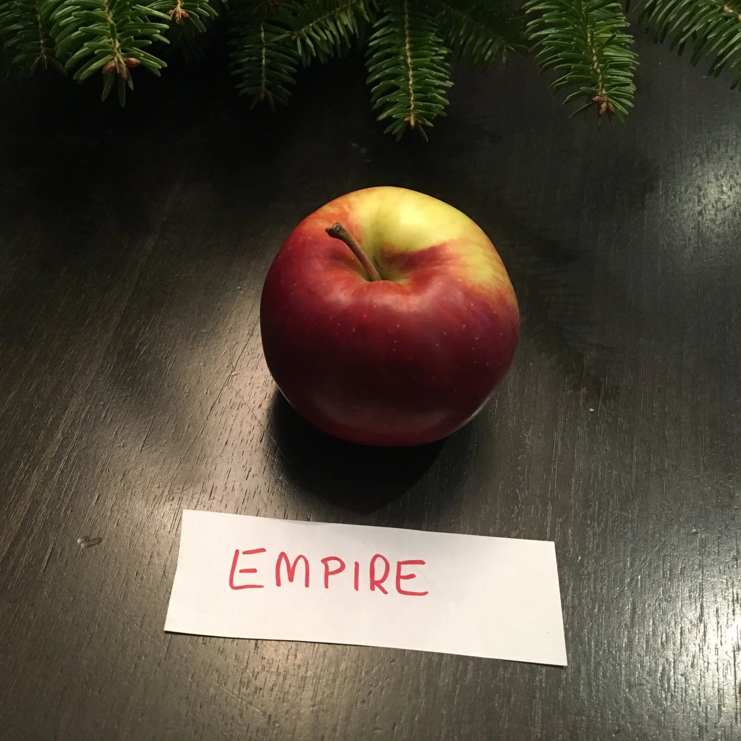 How to Host an Apple Tasting and Find the Best-Tasting Apple — Food ...