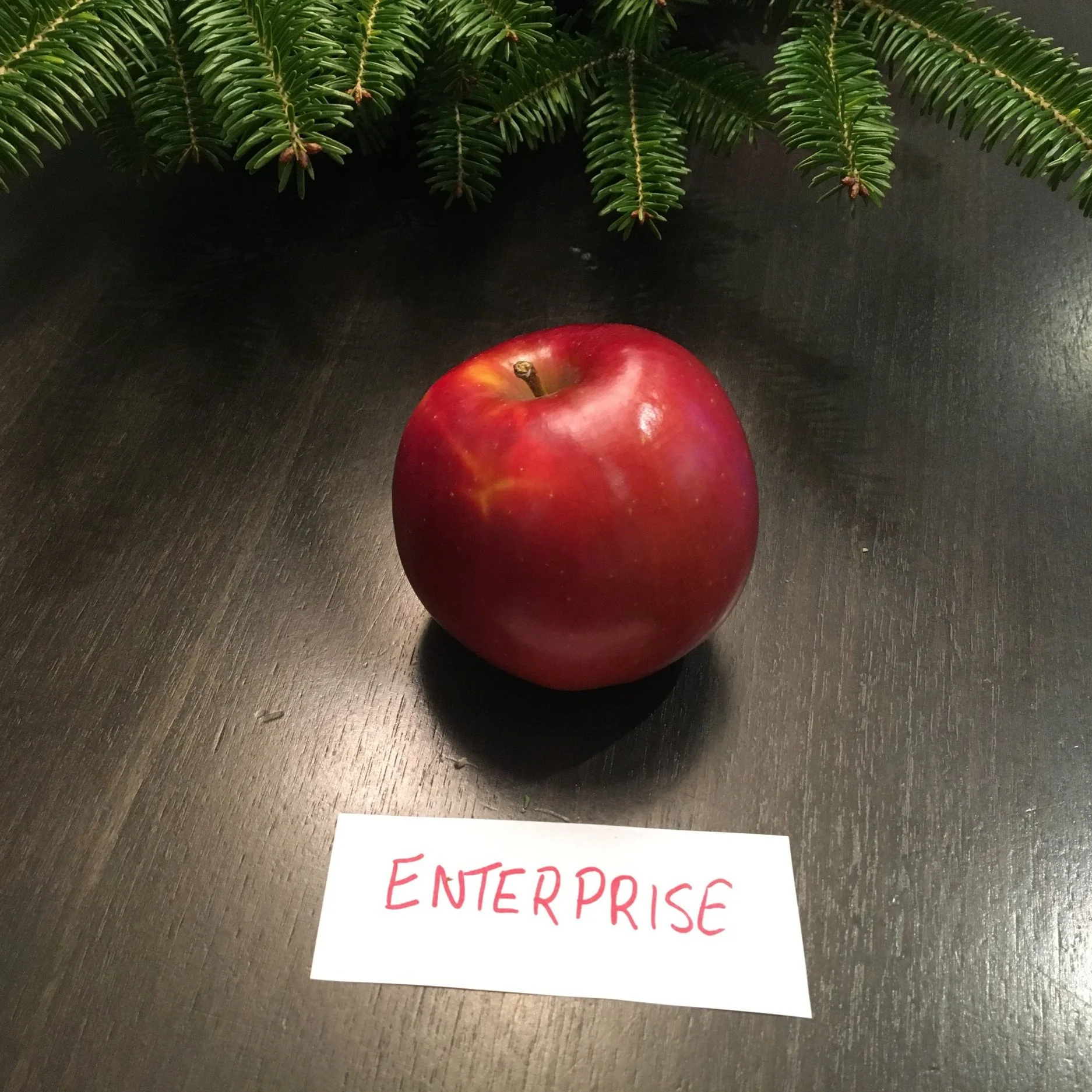How to Host an Apple Tasting and Find the Best-Tasting Apple — Food ...