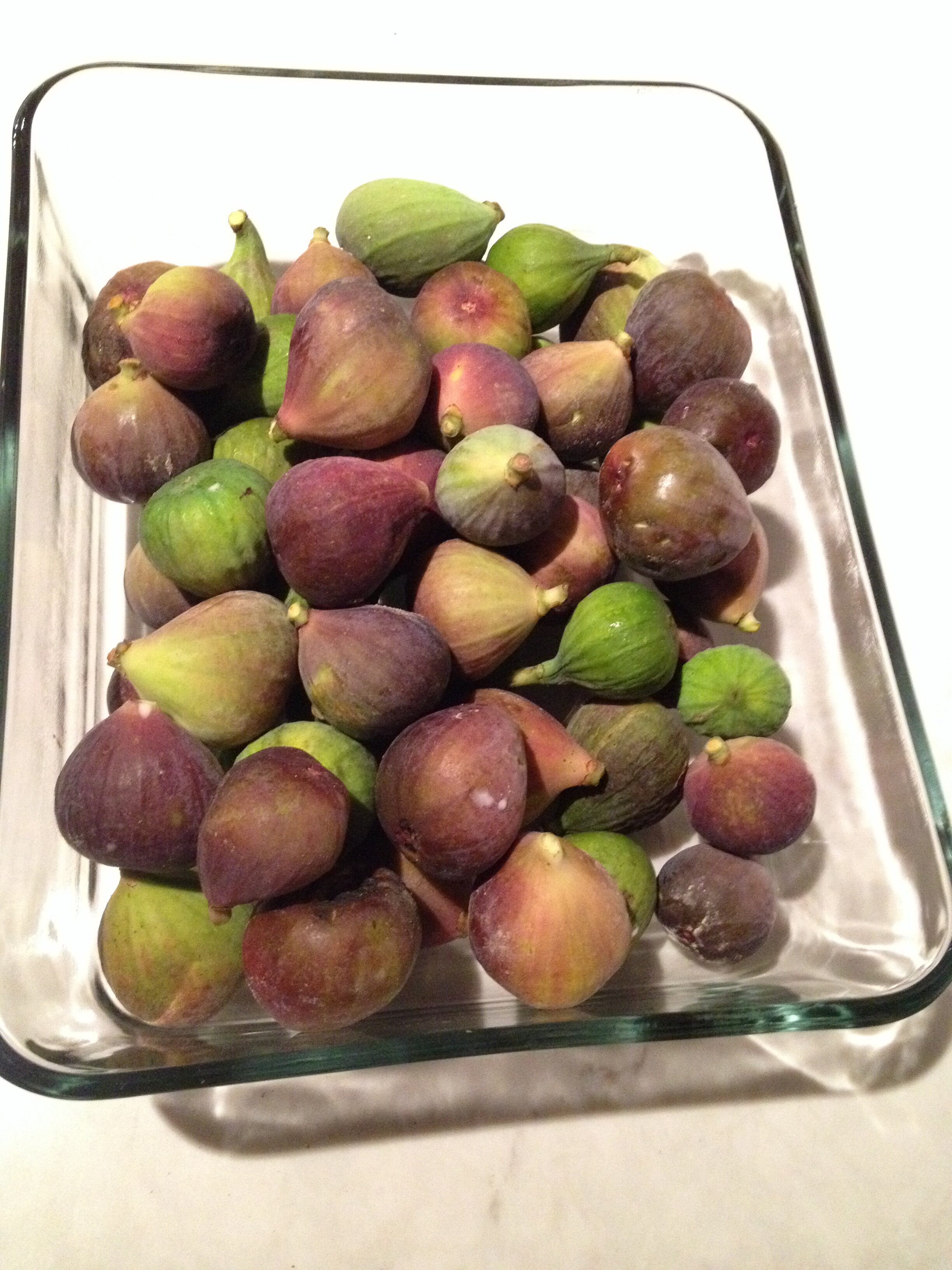 Fig Home Page — Food Garden Life