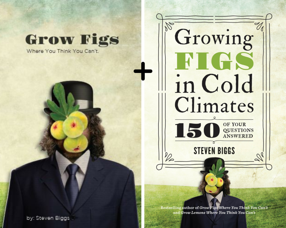 Cold-Climate Guide to How to Prune a Fig Tree — Food Garden Life ...