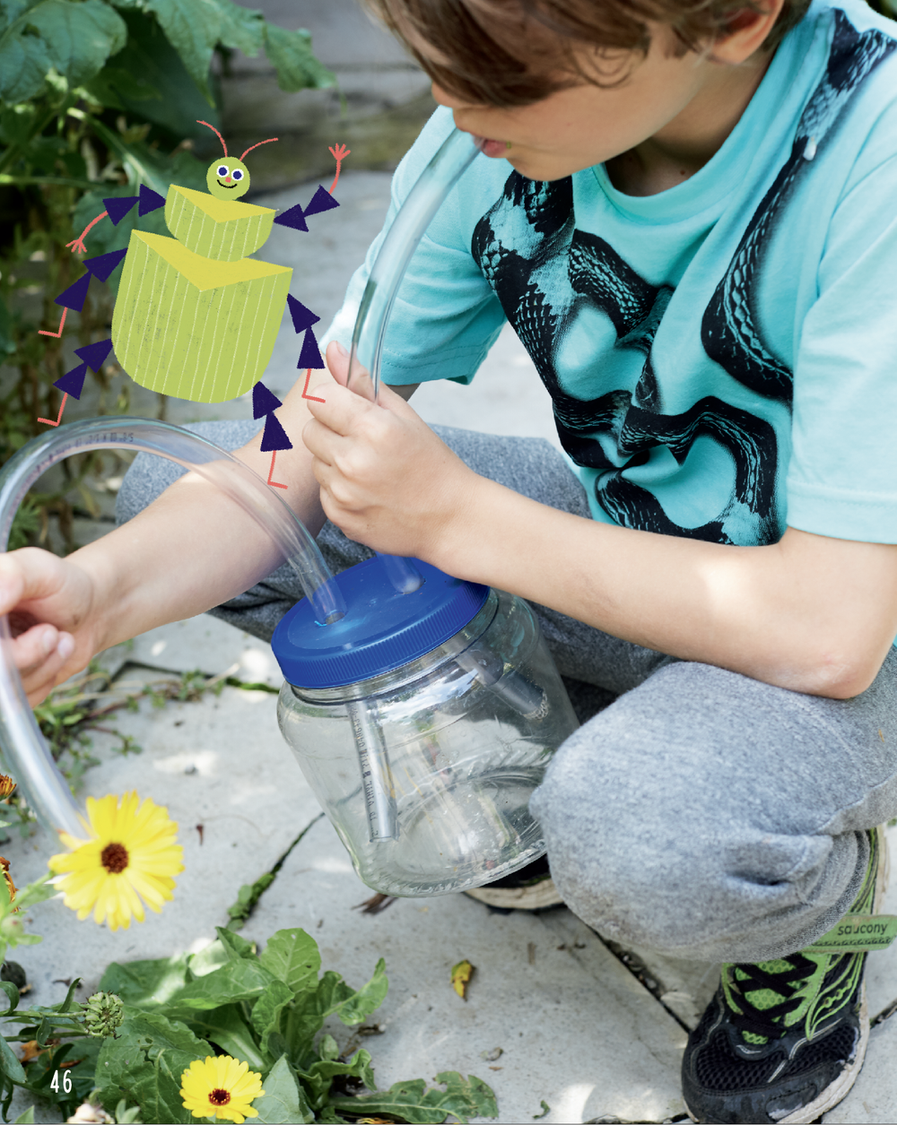 Make a Bug Vacuum — Food Garden Life: Edible Garden, Vegetable Garden ...