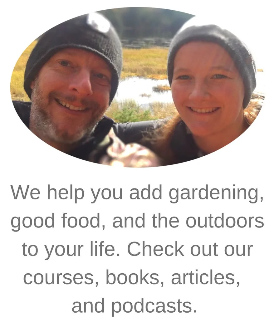 Fig Tree Winter Protection — Food Garden Life